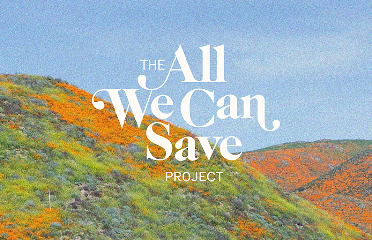 ‘All we can save’ Circles | The Good Wave